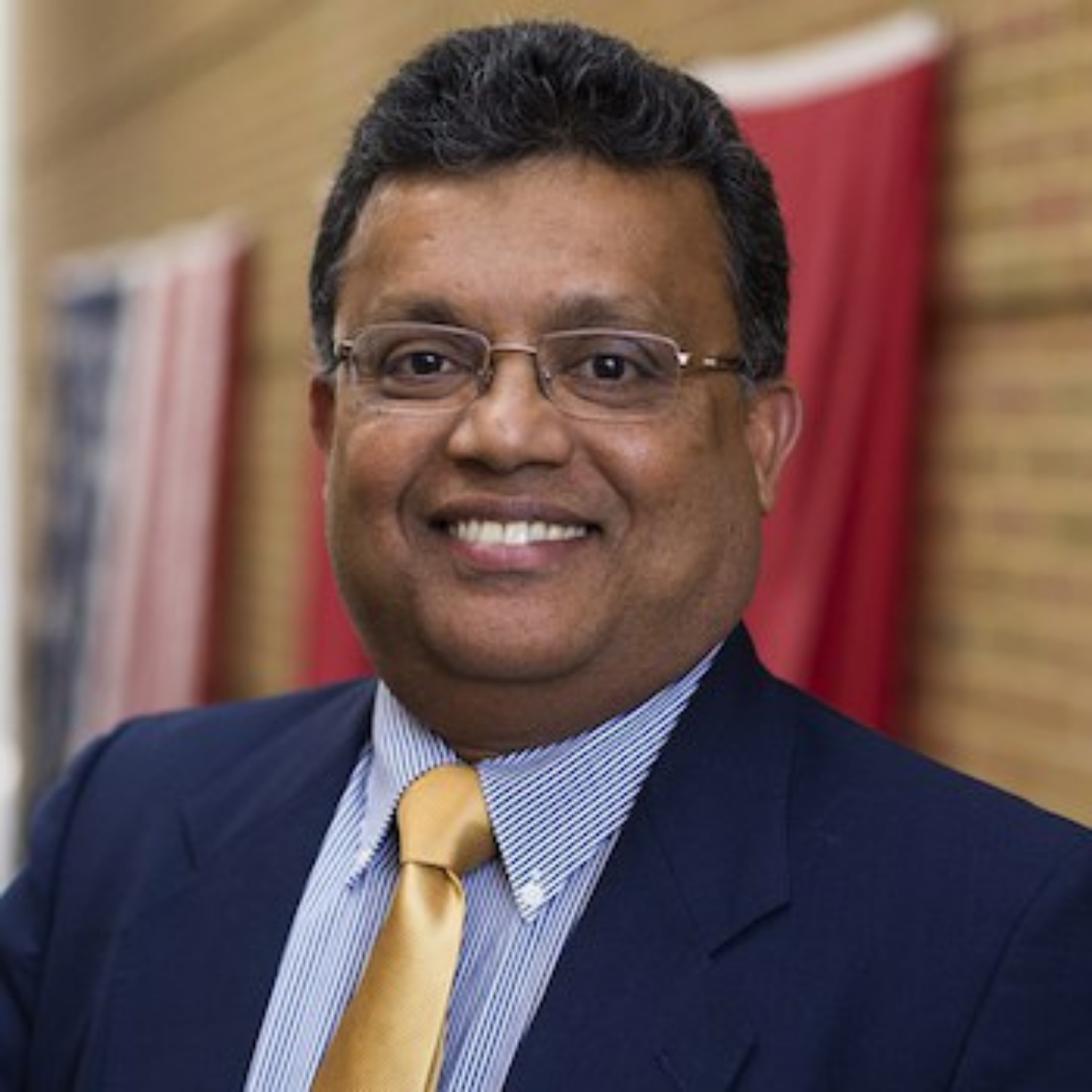 Modeling and Characterizing Vitrimer and Vitrimer Composites for ...