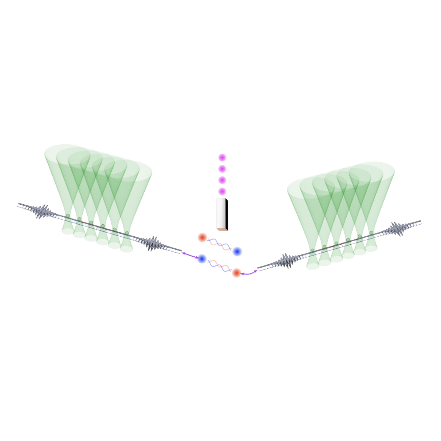 Quantum Networking between Disparate Quantum Systems – START